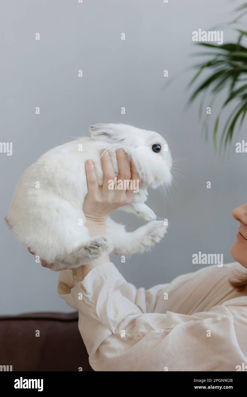 Woman pet rabbit hi-res stock photography and images - Alamy