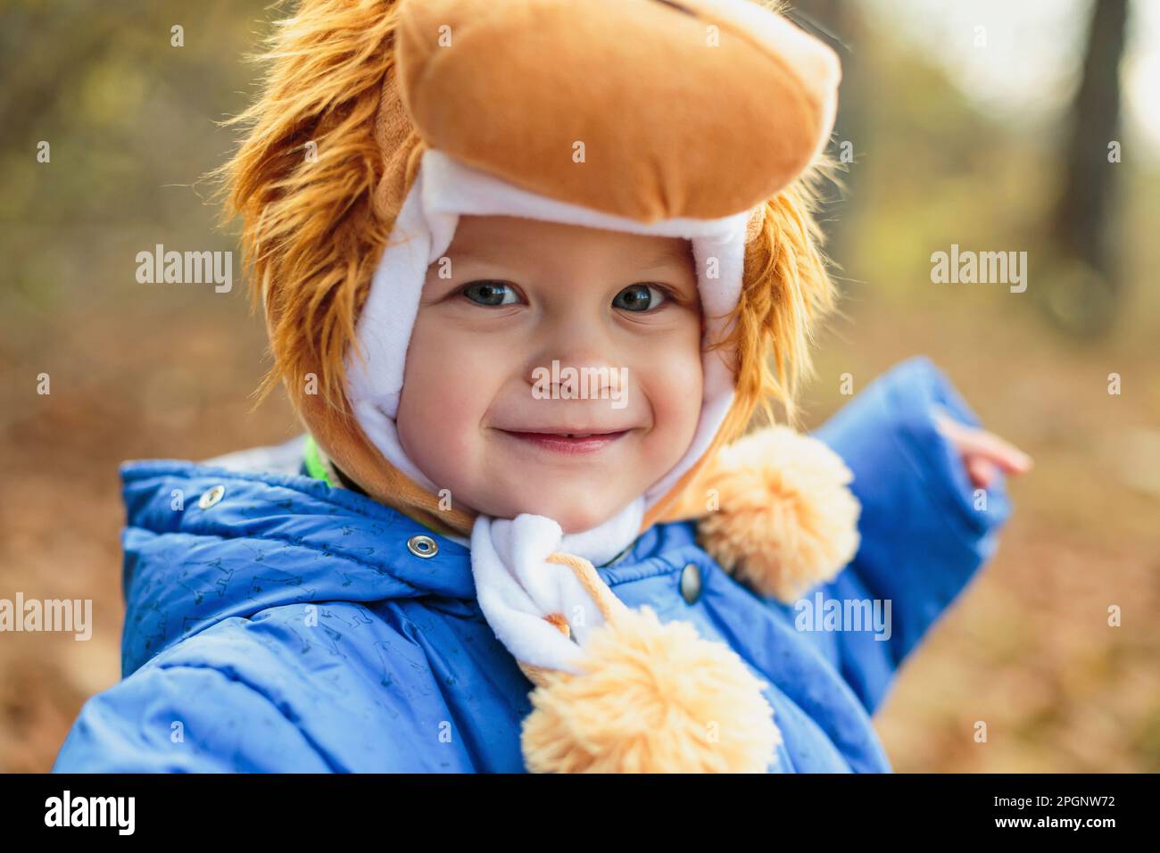 Smiling cute boy wearing lion hat Stock Photo - Alamy