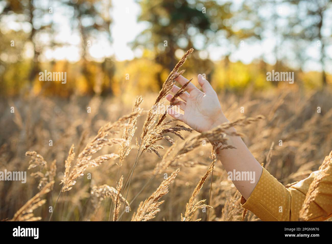 Dry hands hi-res stock photography and images - Alamy