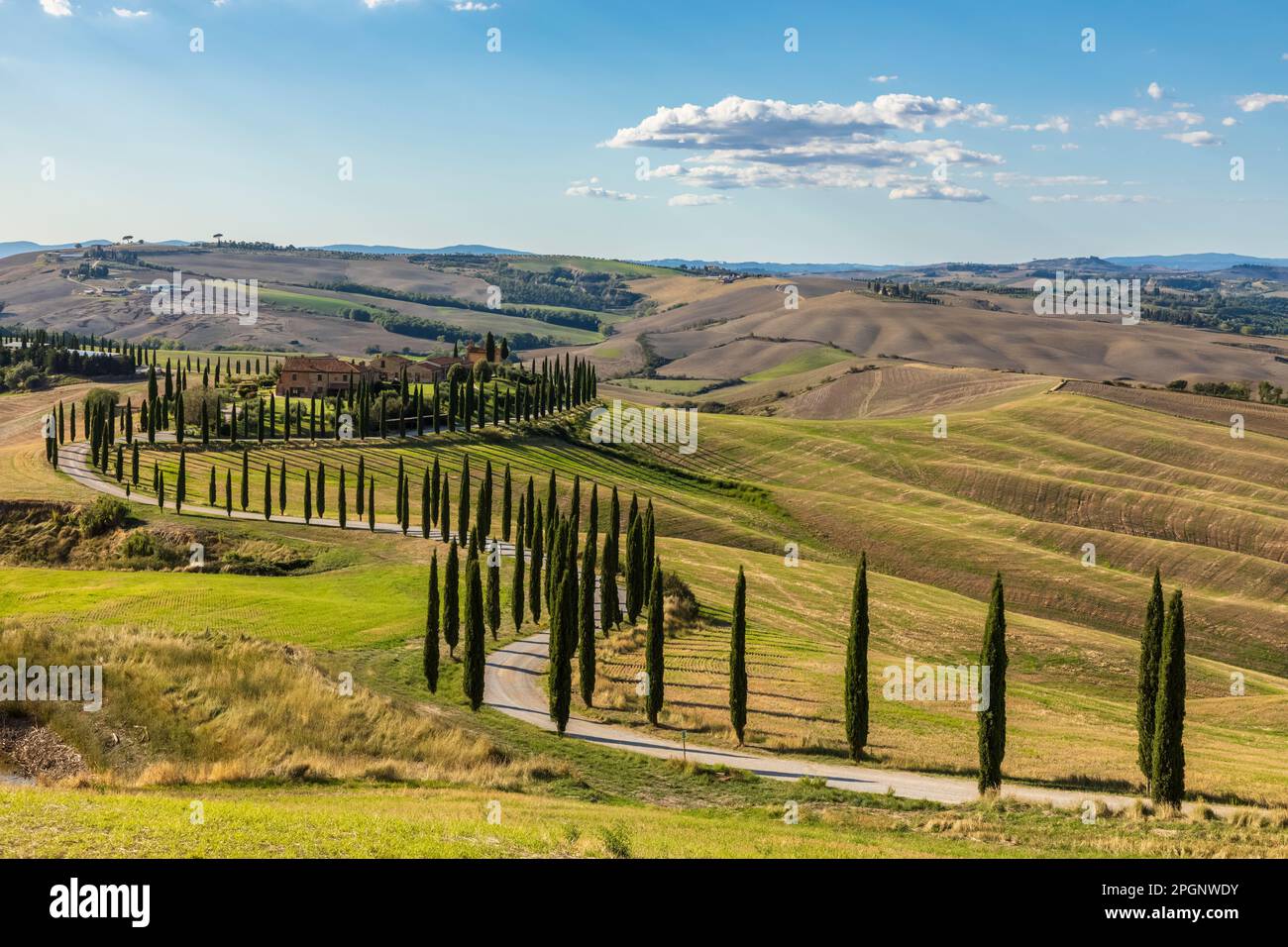 Country road in tuscany hi-res stock photography and images - Alamy
