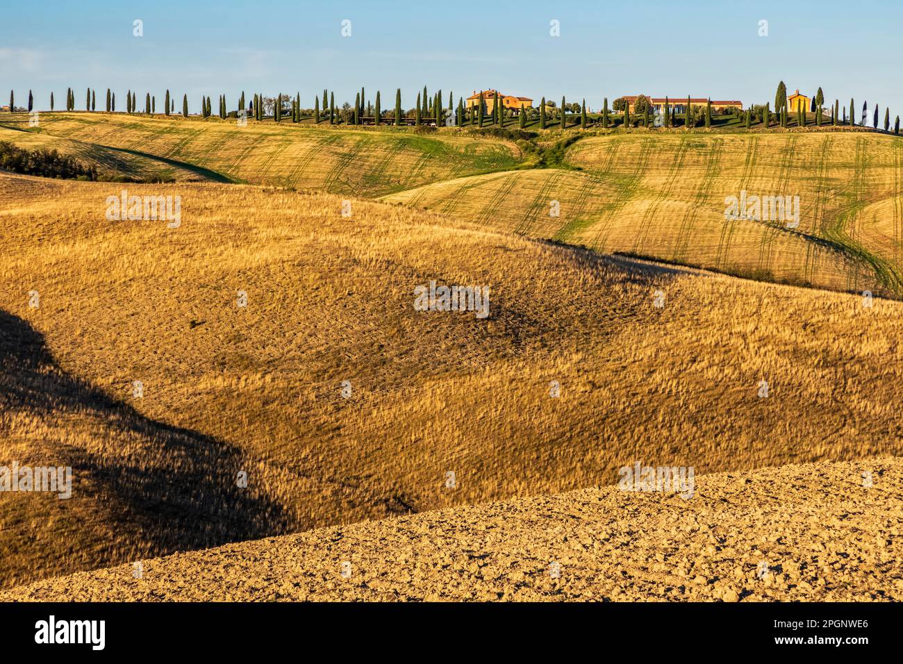 Italy, Tuscany, View of hilltop farm in summer Stock Photo - Alamy