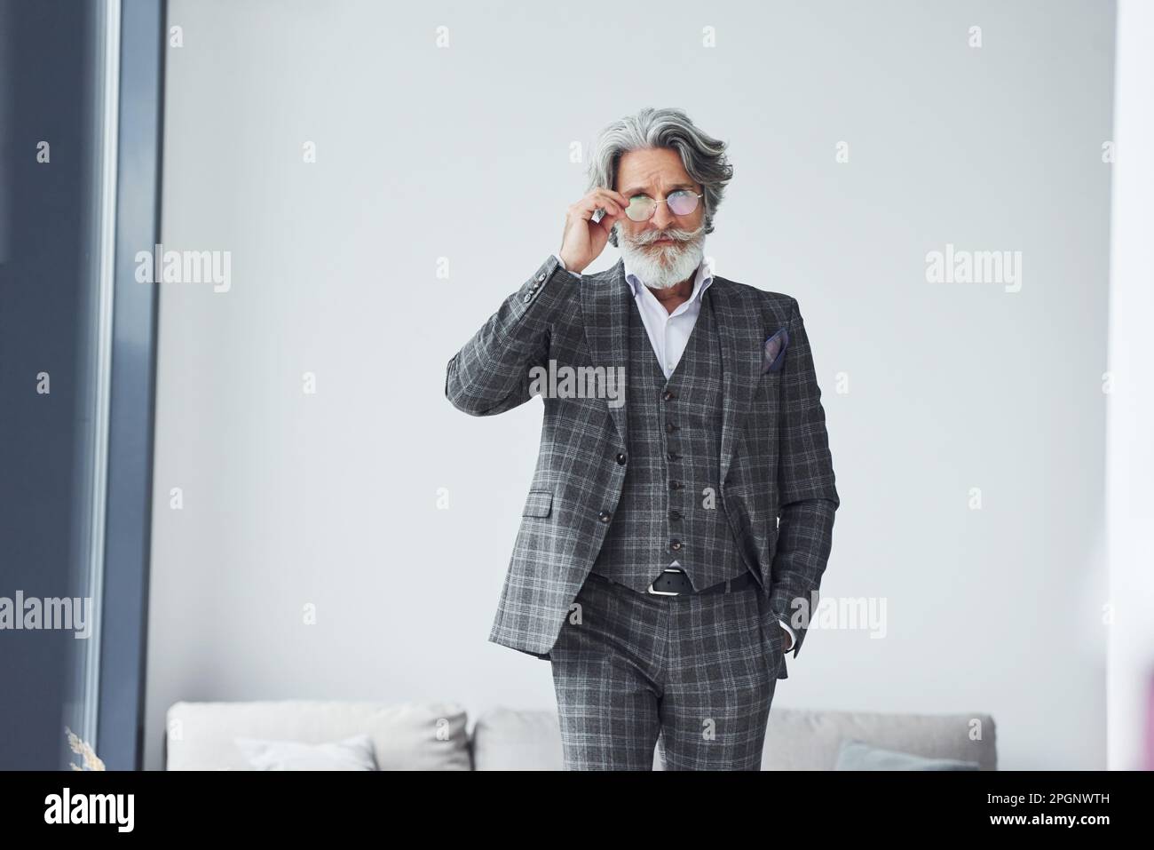 Conception of beautiful style. Senior stylish modern man with grey hair ...