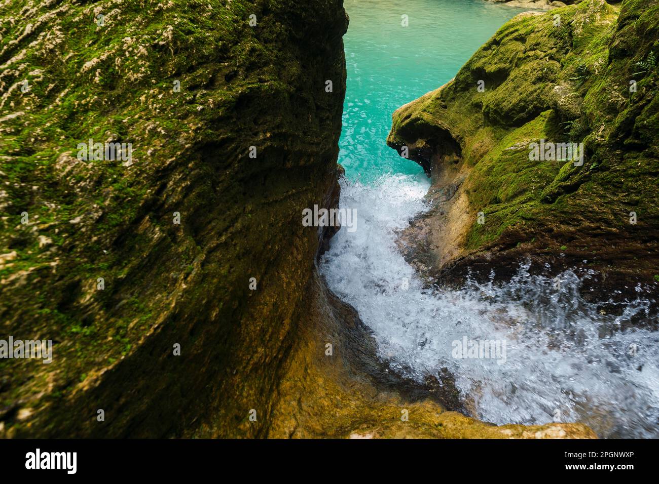 Waterfall forest rocks hi-res stock photography and images - Alamy