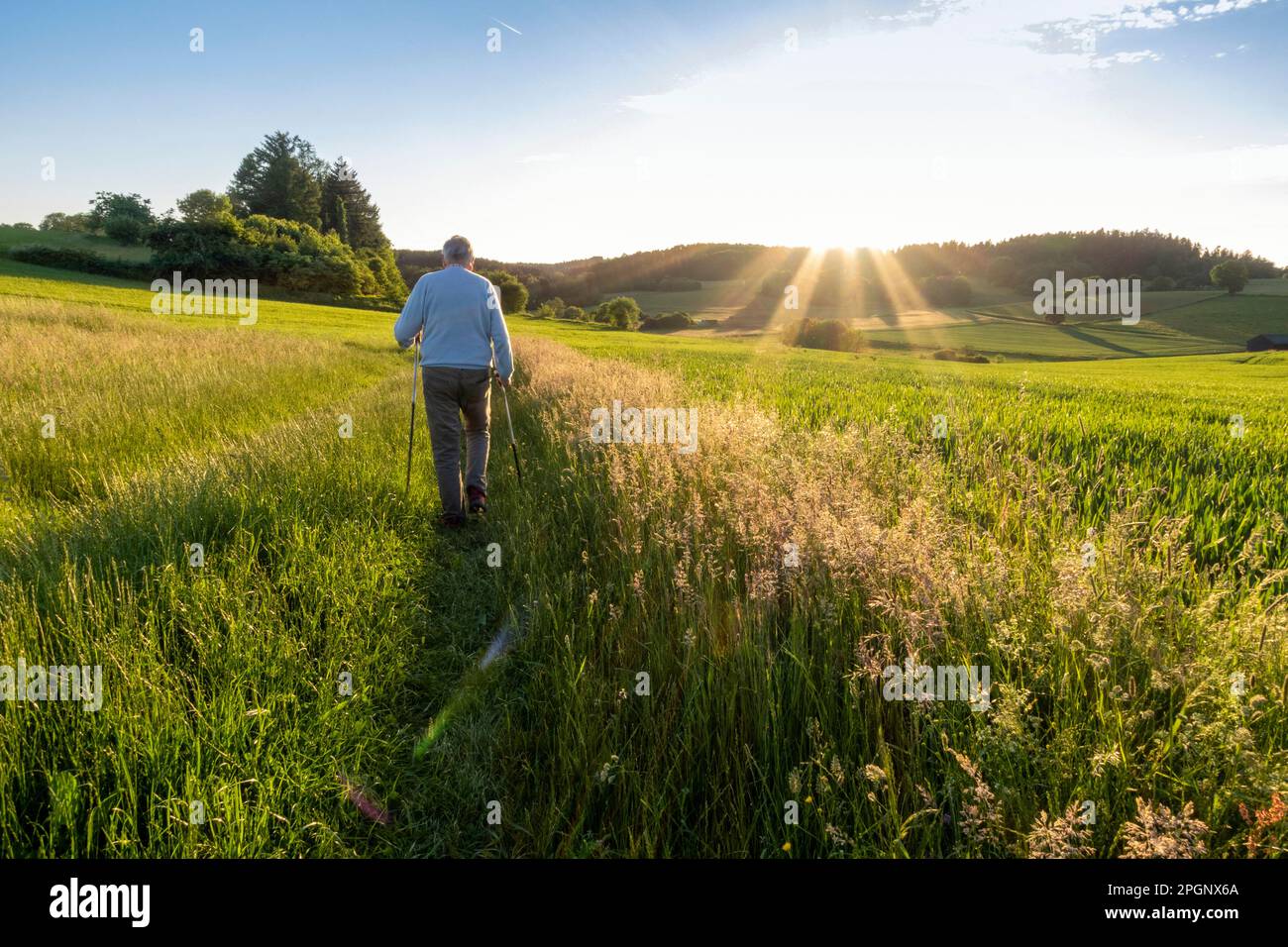 Rear view man walking lens flare hi-res stock photography and images ...