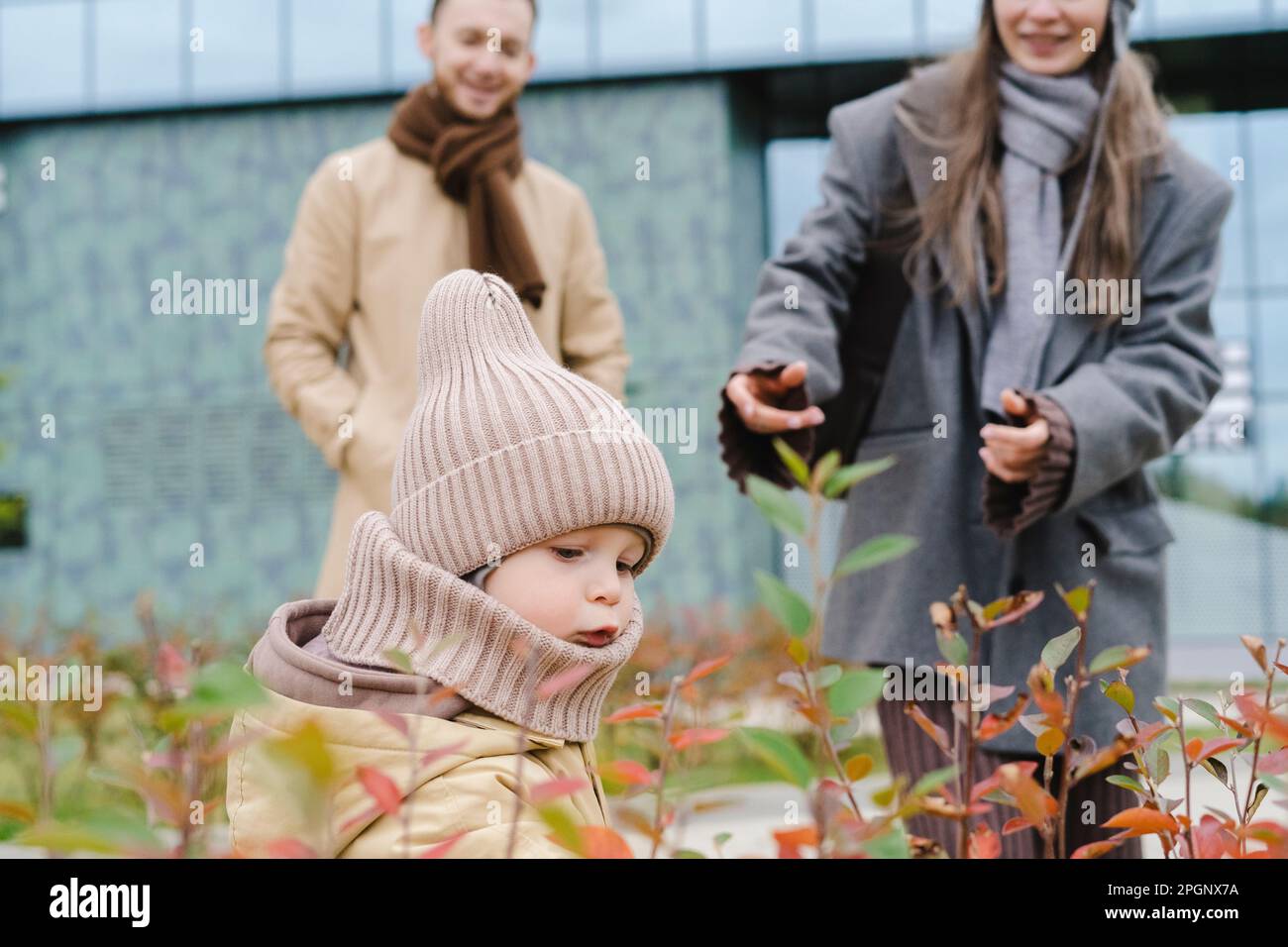 Curious boy looking at plants with parents in background Stock Photo ...
