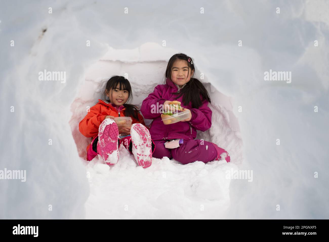 Building igloo in the backyard Stock Photo - Alamy