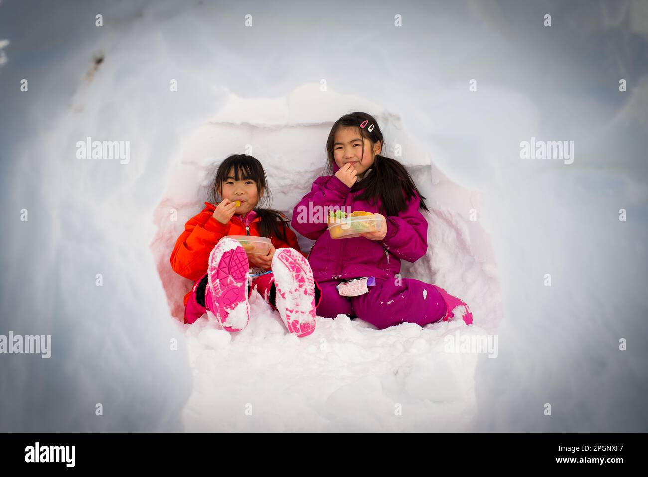 Building igloo in the backyard Stock Photo - Alamy