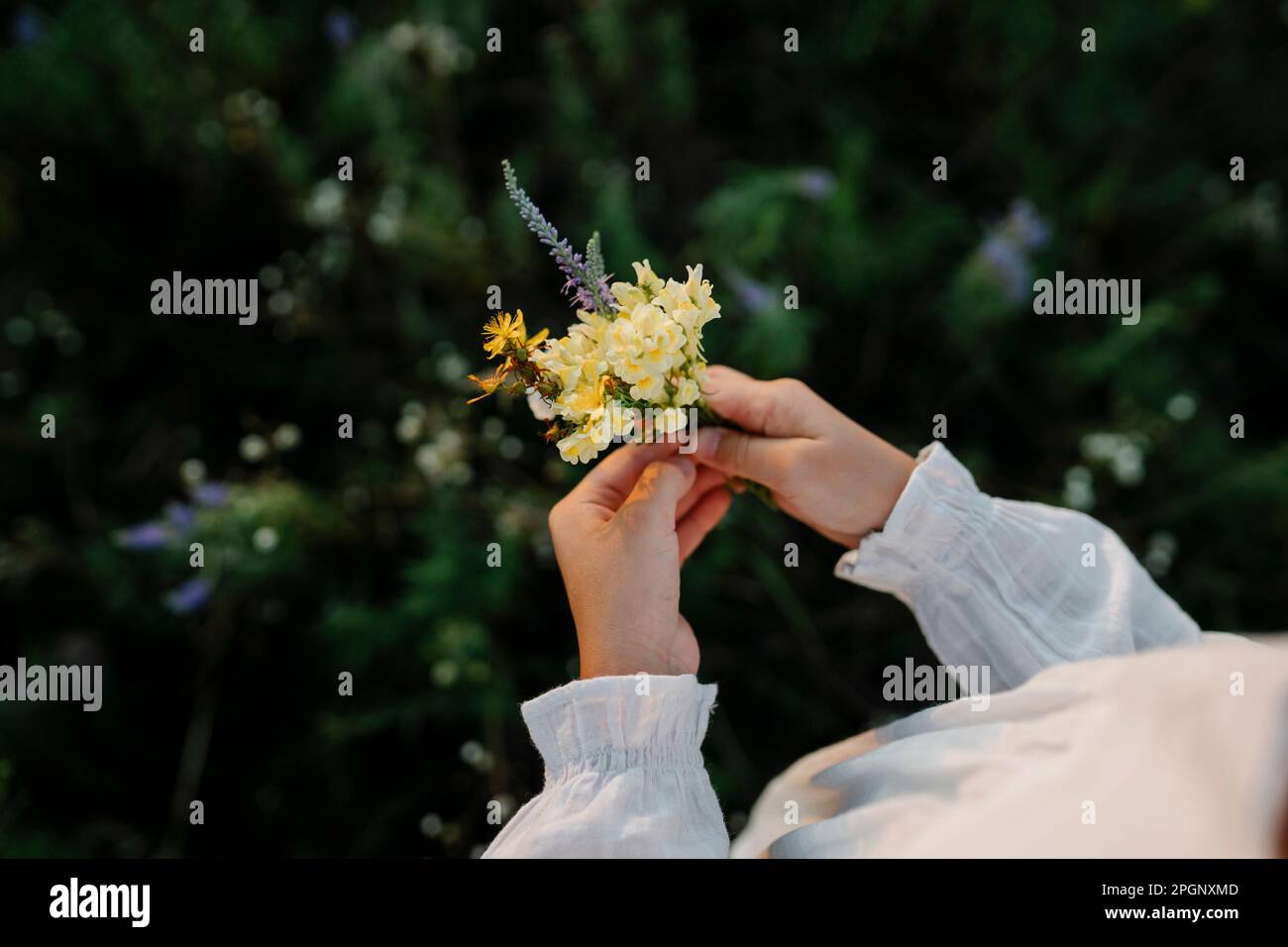 Female hand picking flowers hi-res stock photography and images - Alamy