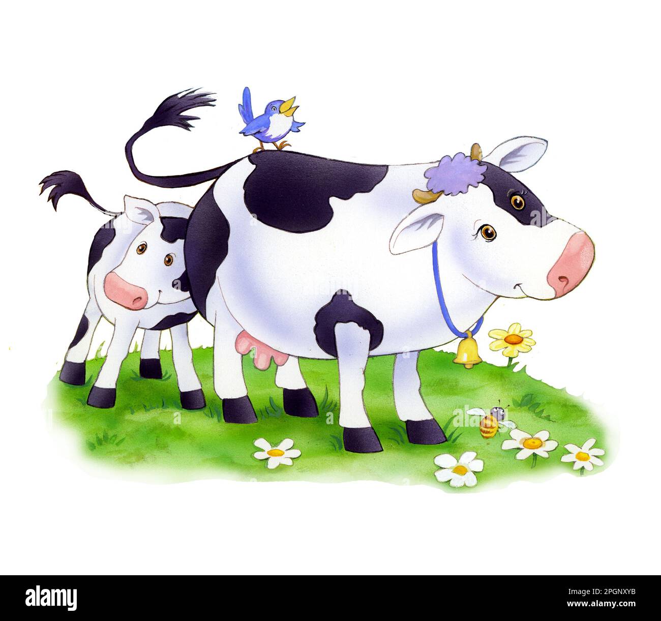 Calf lee hi-res stock photography and images - Alamy