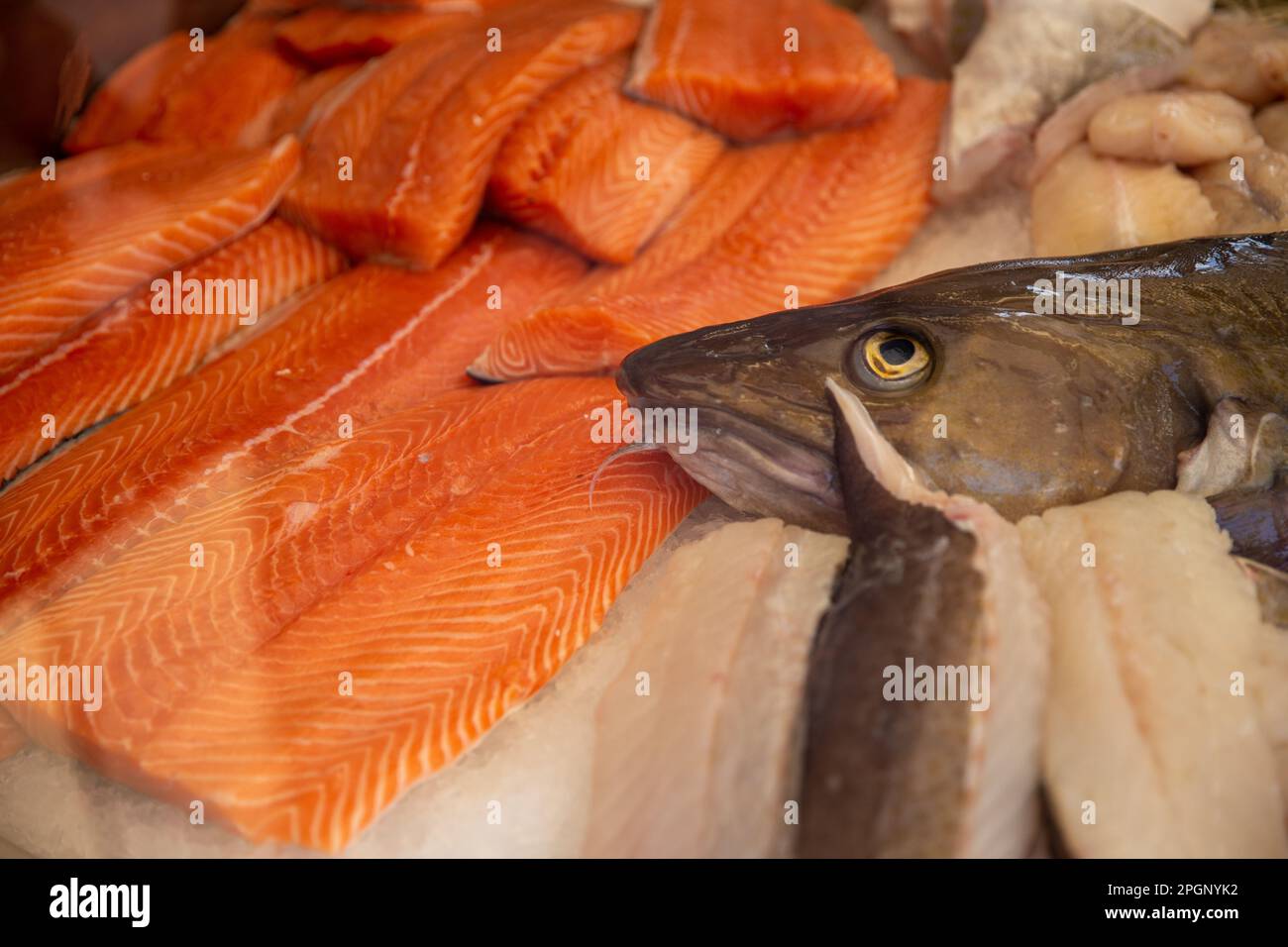 Fresh Salmon with a fish head on display Stock Photo - Alamy