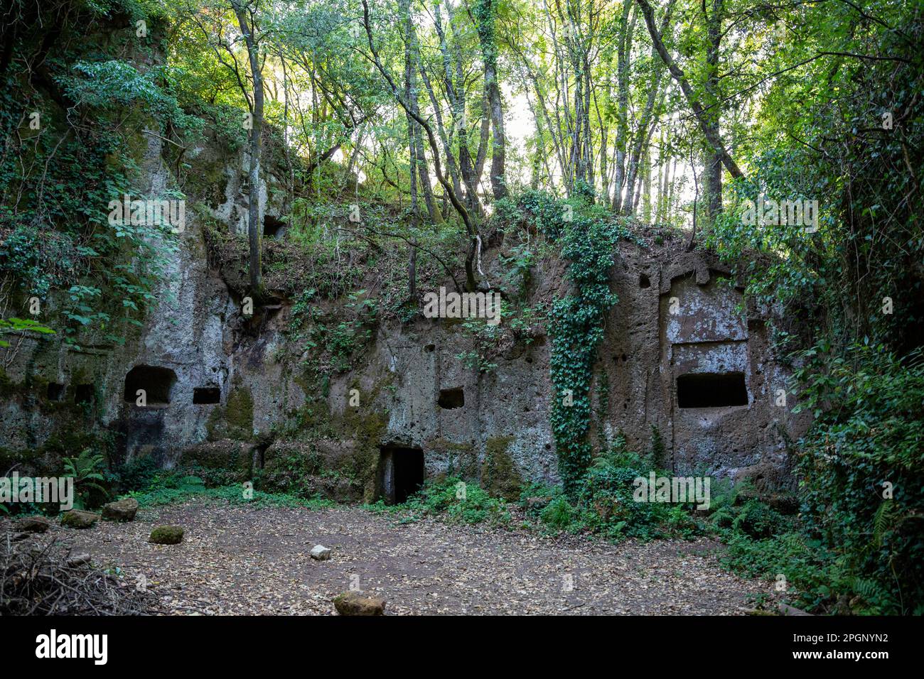 Ancient etruscan necropolis san guilano amidst trees lazio hi-res stock ...