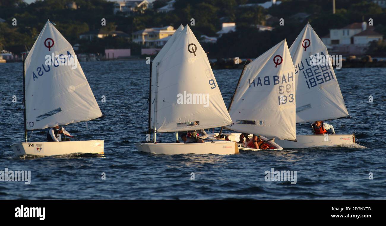 Children learning how to sail in little;e white boats in the harbour ...