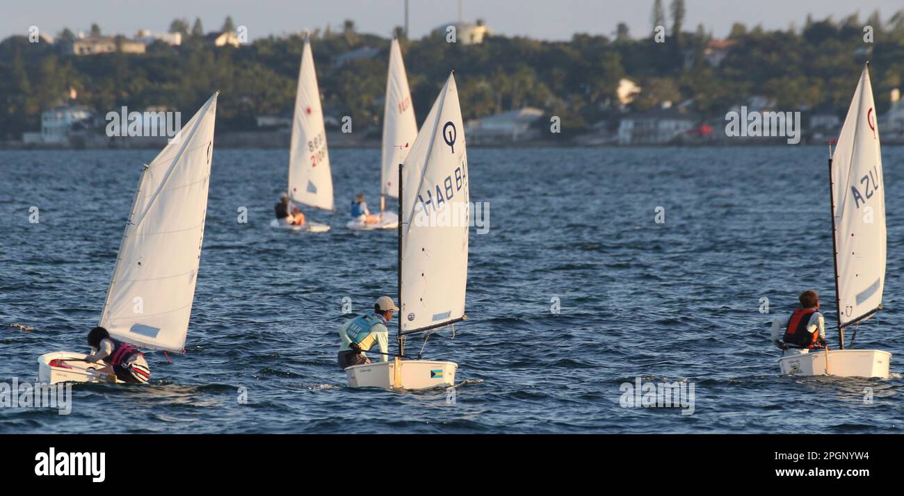Children learning how to sail in little;e white boats in the harbour ...