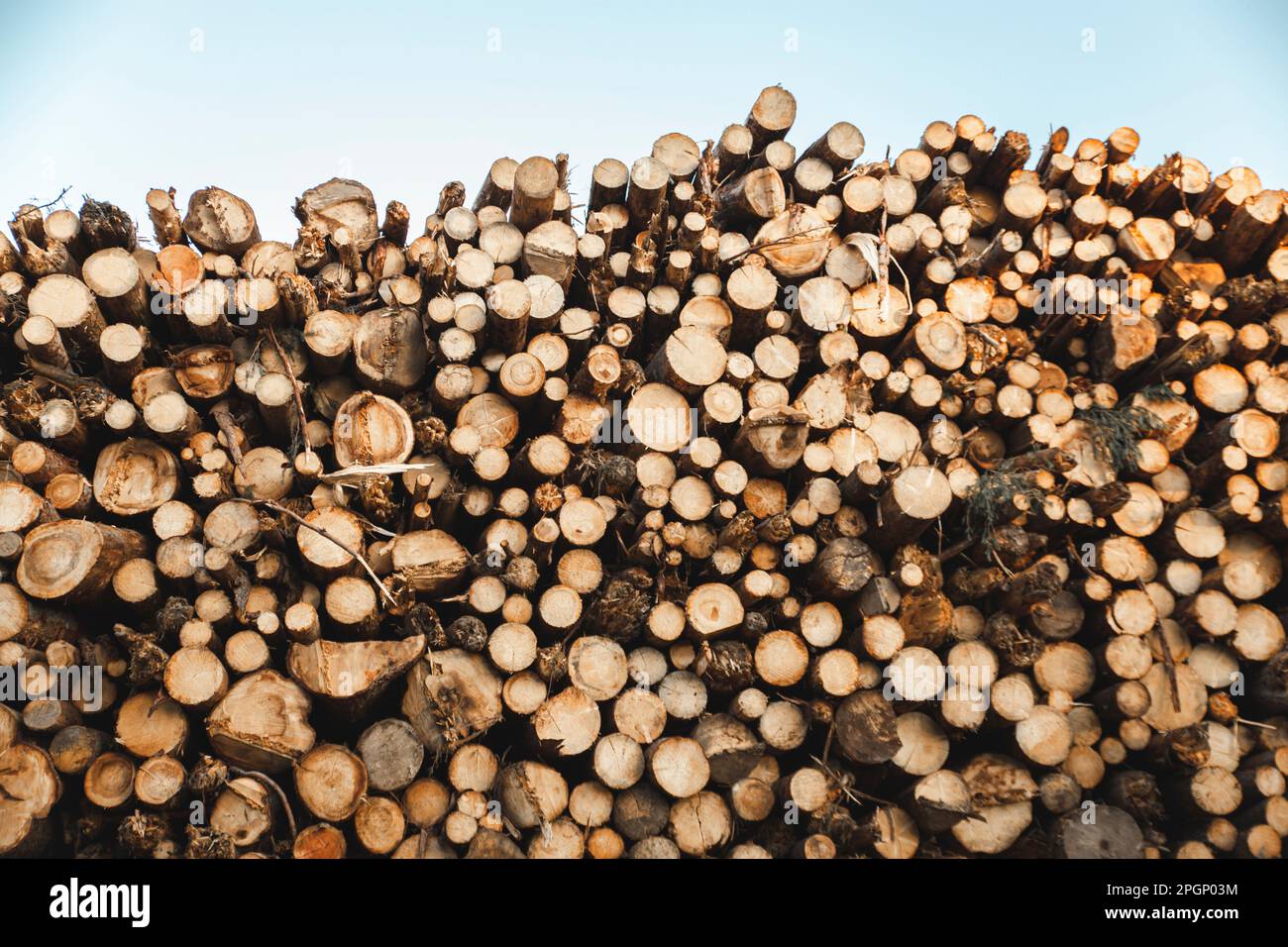 Stack of logs in front of sky Stock Photo - Alamy