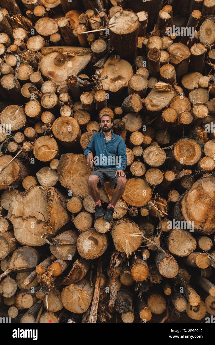 Man sitting on stack of logs in lumberyard Stock Photo - Alamy