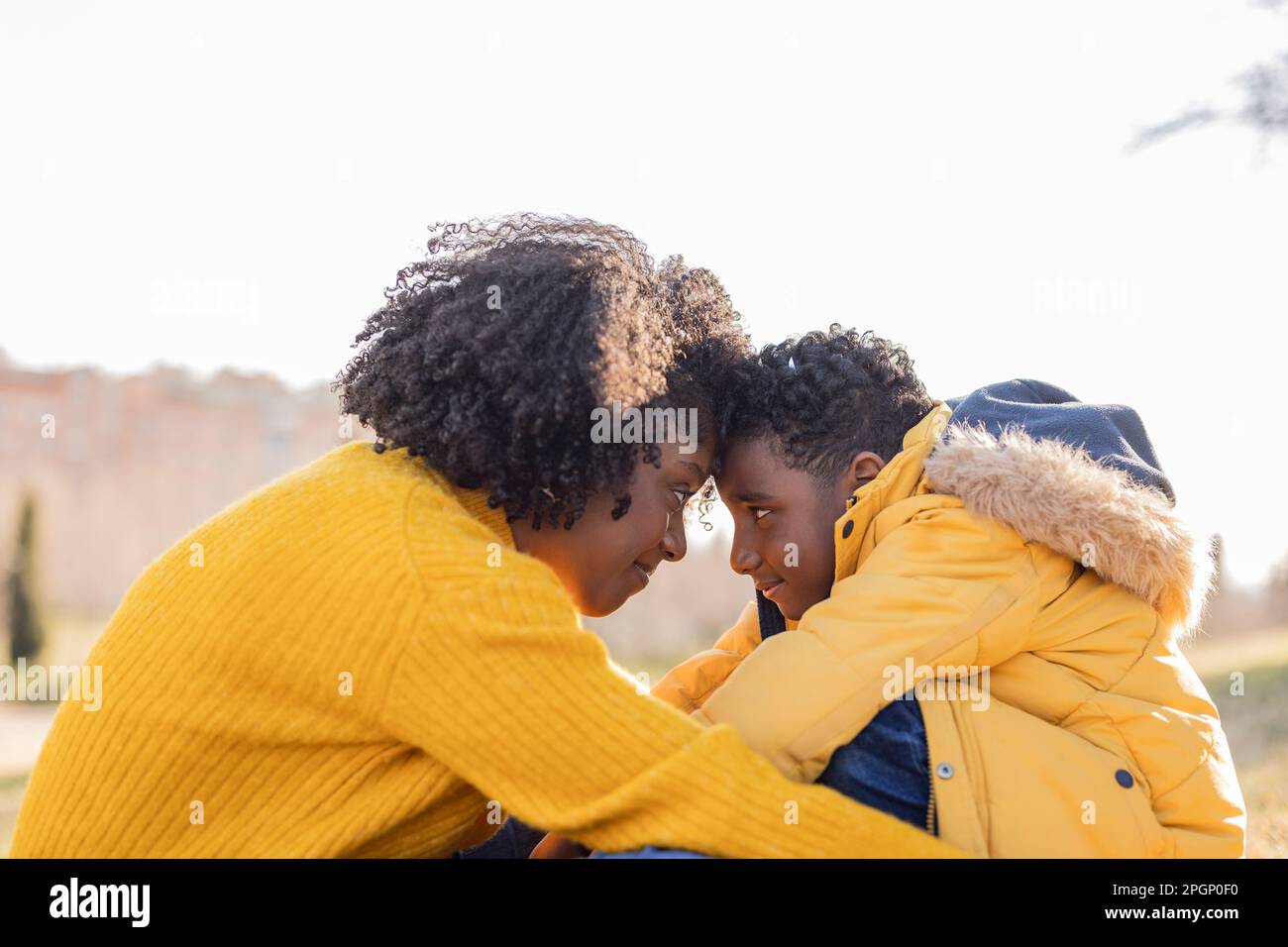 Affectionate mother and son touching foreheads in park Stock Photo - Alamy
