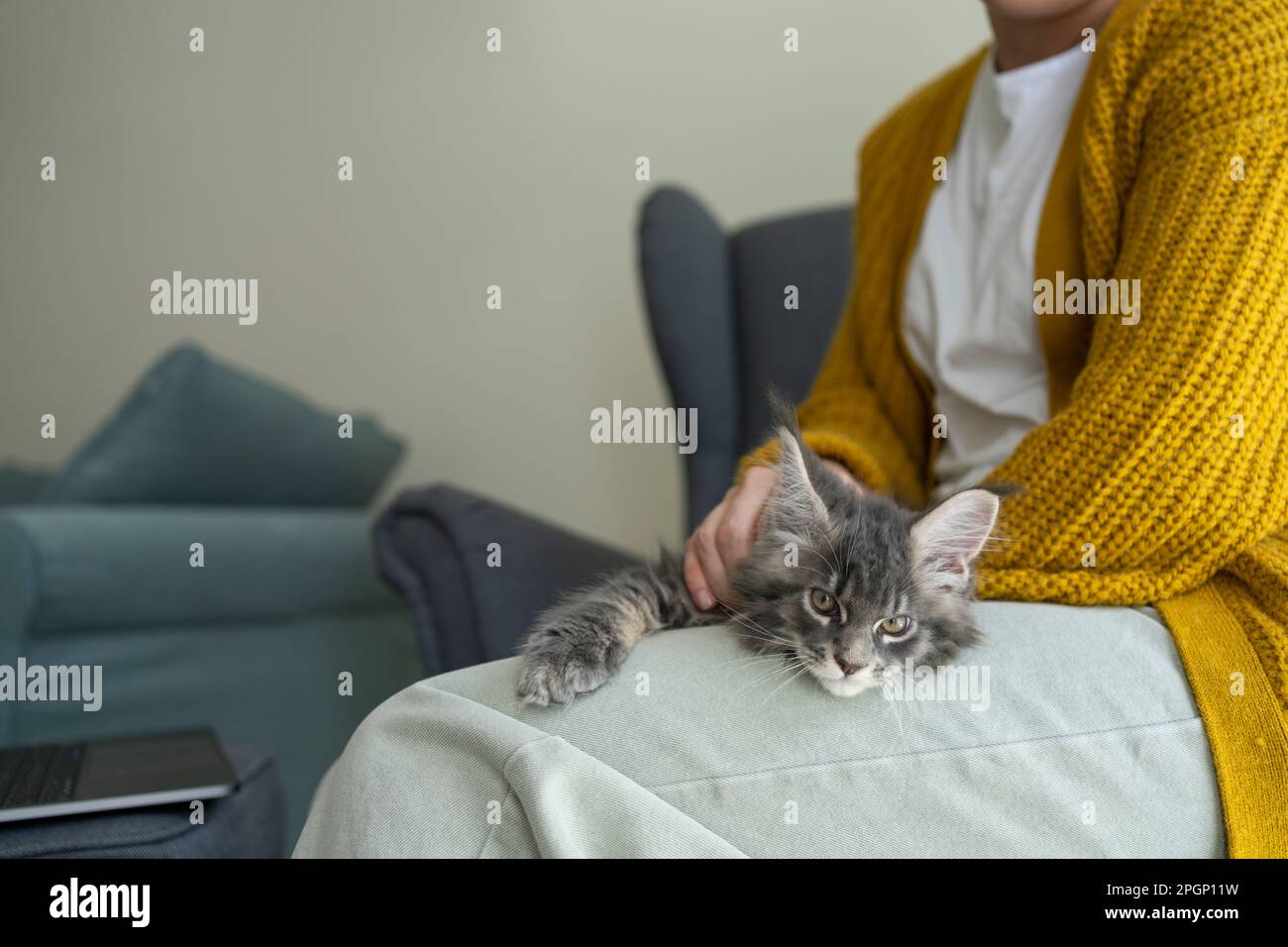 Lap cat hi-res stock photography and images - Alamy