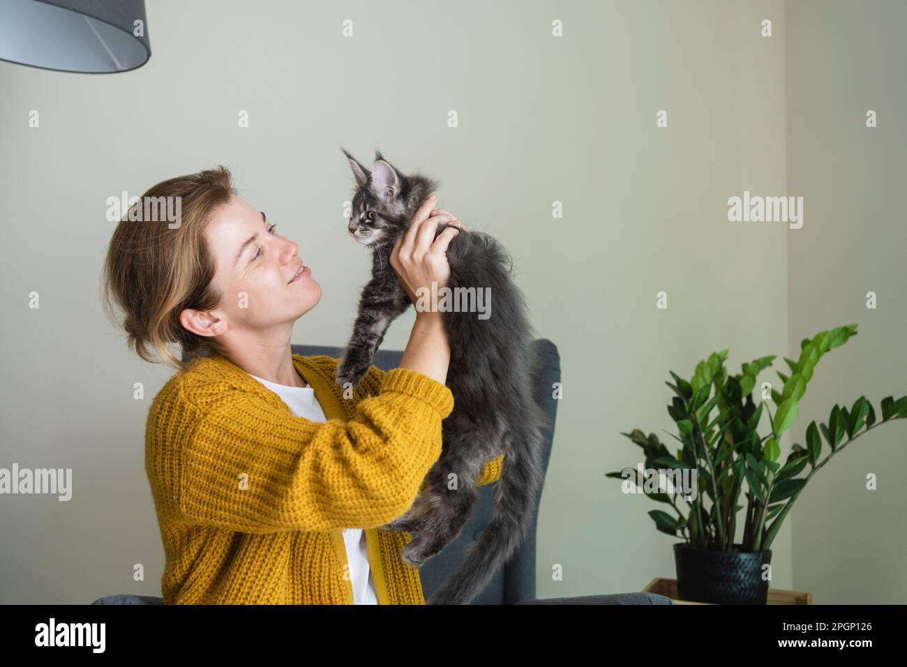 Person picking up cat hi-res stock photography and images - Alamy