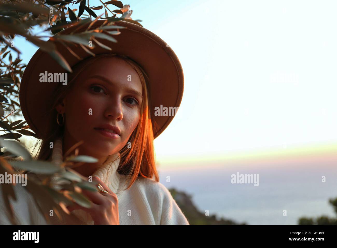 Woman wearing hat near olive tree at sunset Stock Photo - Alamy