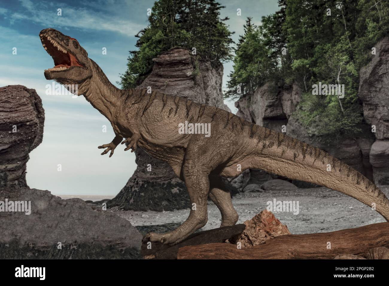 Giganotosaurus by Carnegie-Safari Stock Photo - Alamy