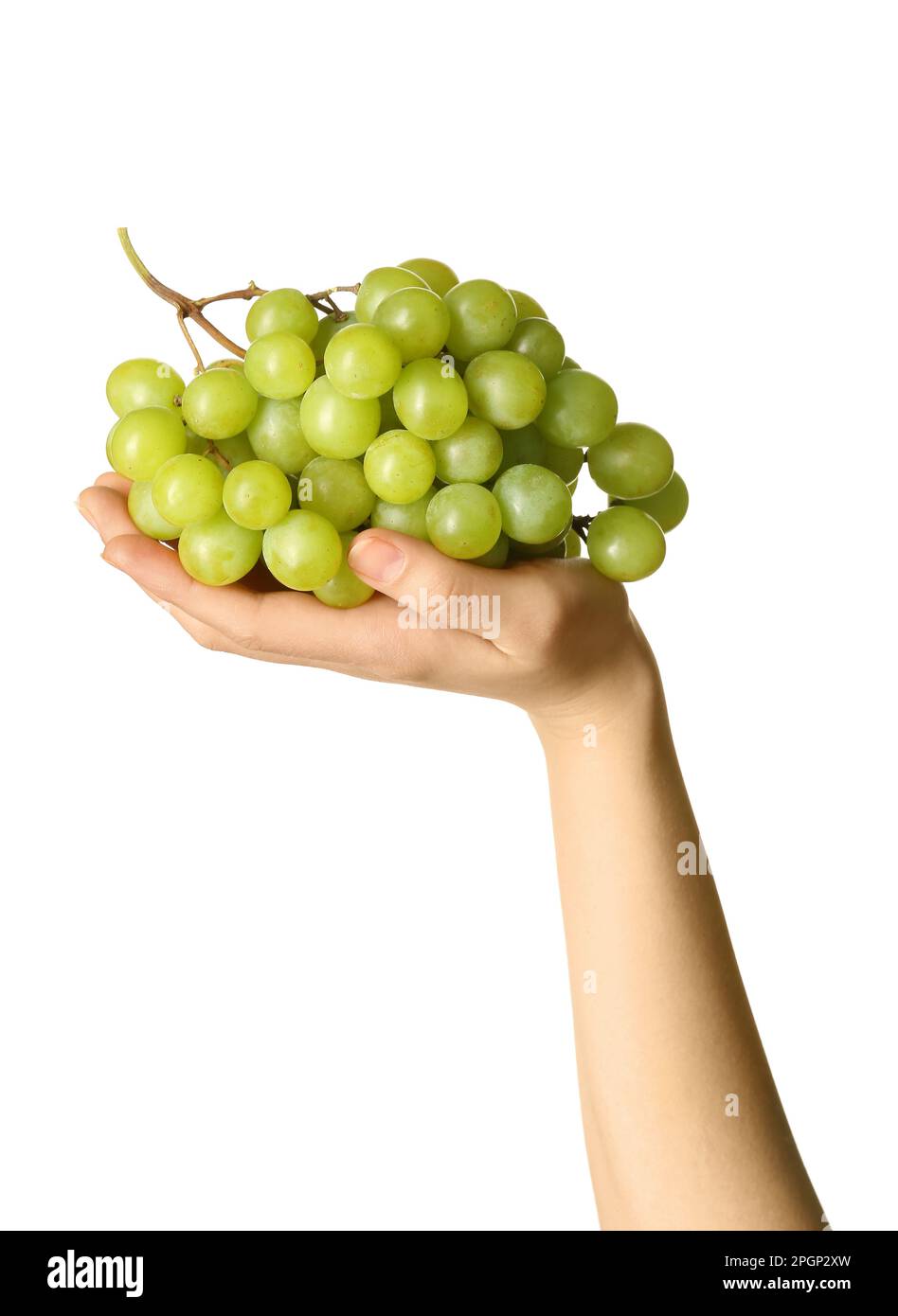 Female hand holding grapes isolated on white background Stock Photo - Alamy