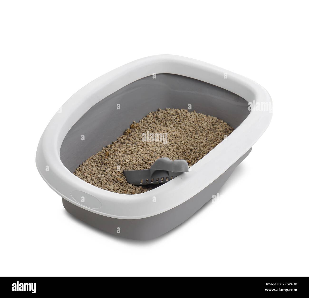 Litter box for cat on white background Stock Photo - Alamy
