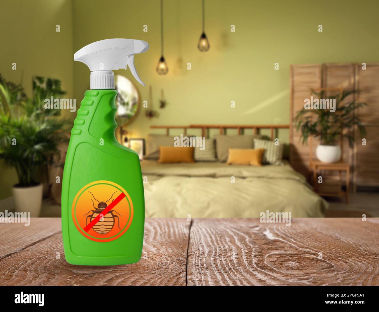 Bed bugs color hi-res stock photography and images - Alamy