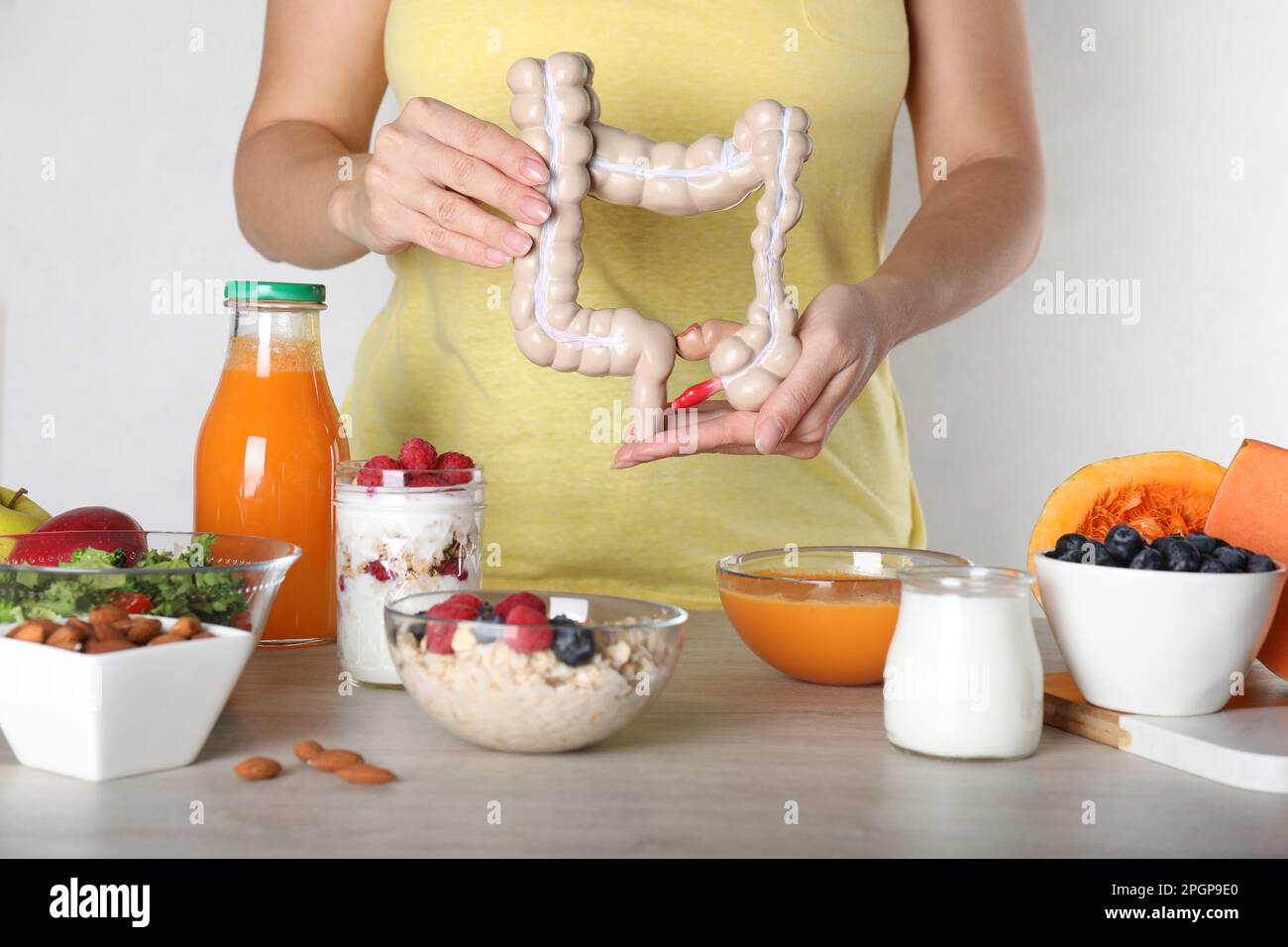 Woman holding large intestine model near table with food, closeup ...