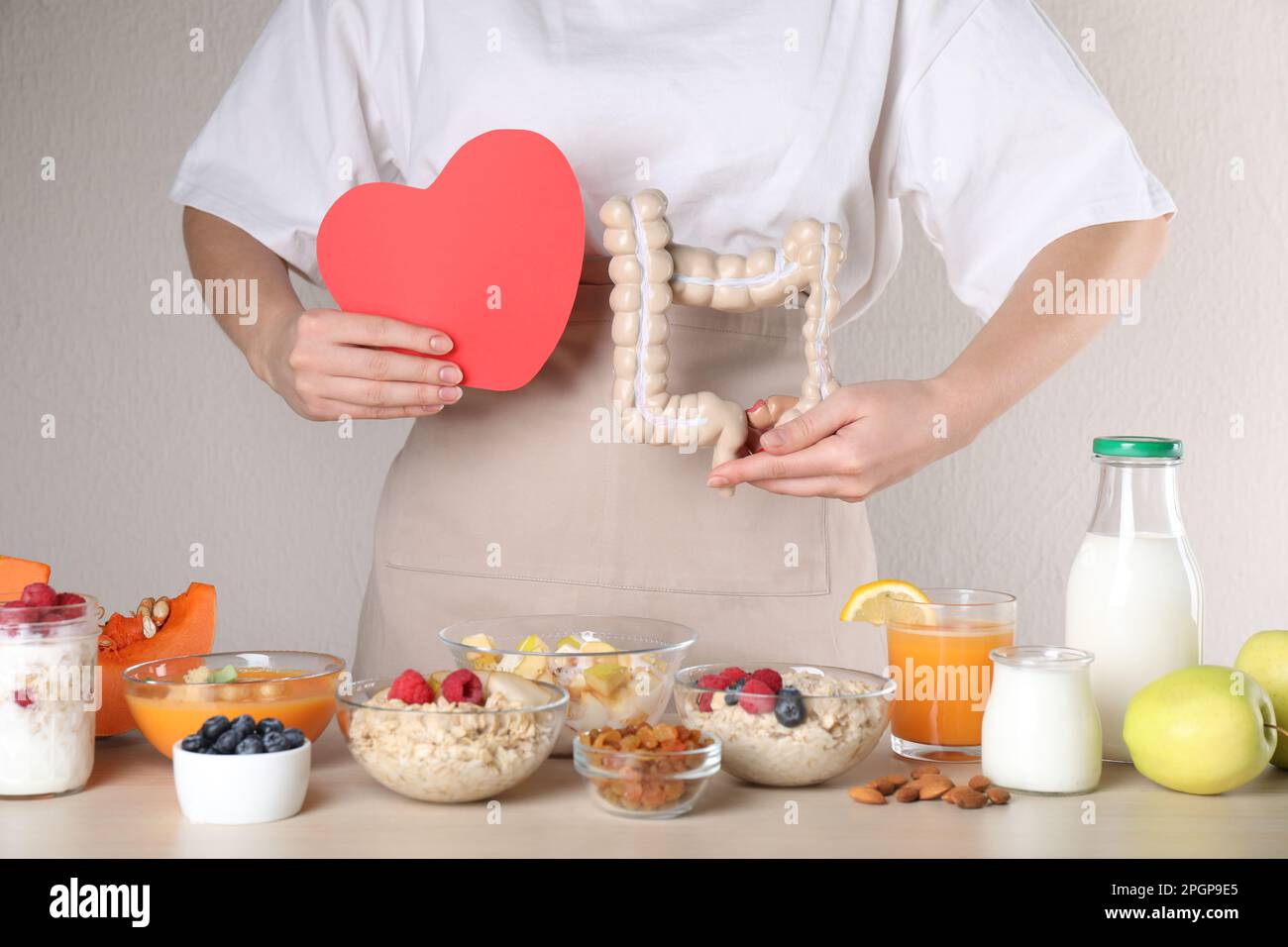 Woman holding paper heart and large intestine model near table with ...
