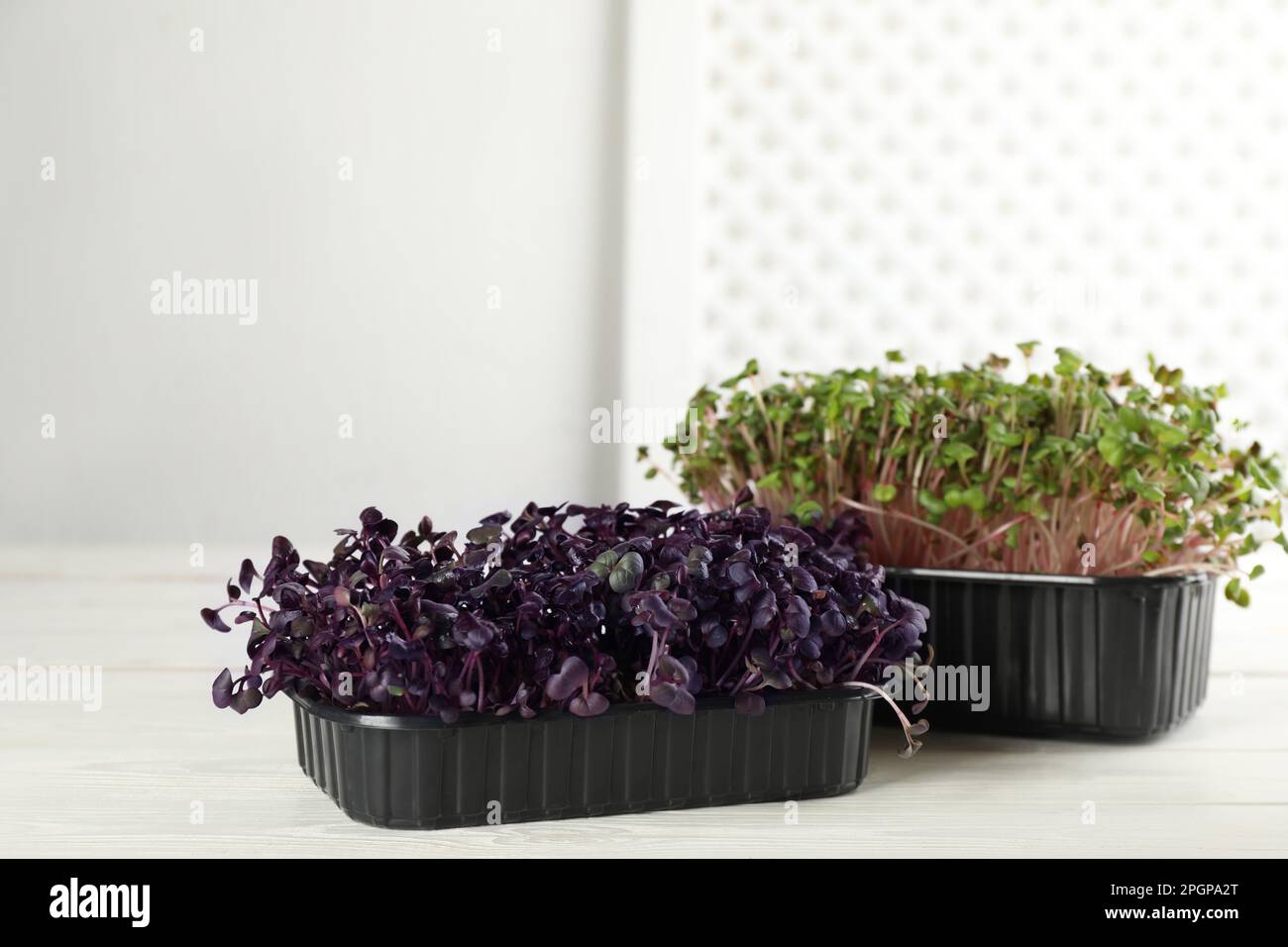 Fresh radish microgreens in plastic containers on white wooden table ...