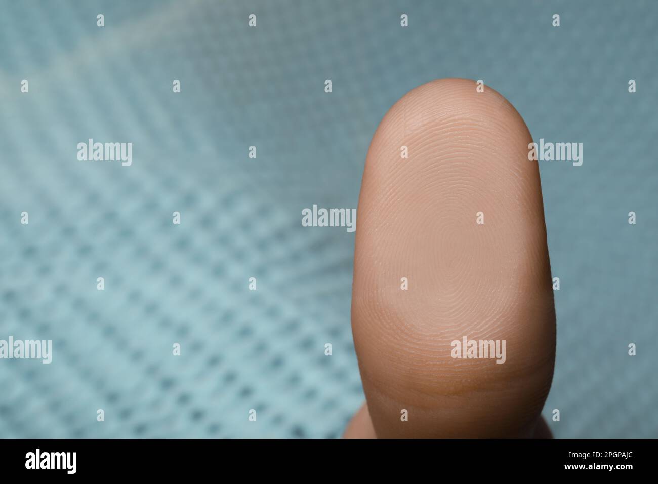 Female surface anatomy hi-res stock photography and images - Alamy