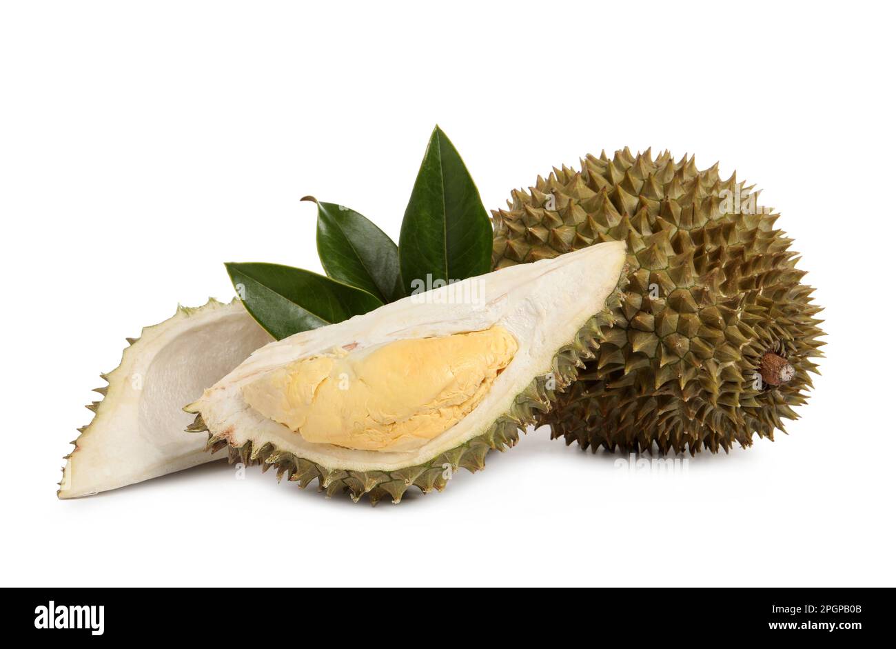 Cut and whole ripe durians on white background Stock Photo - Alamy
