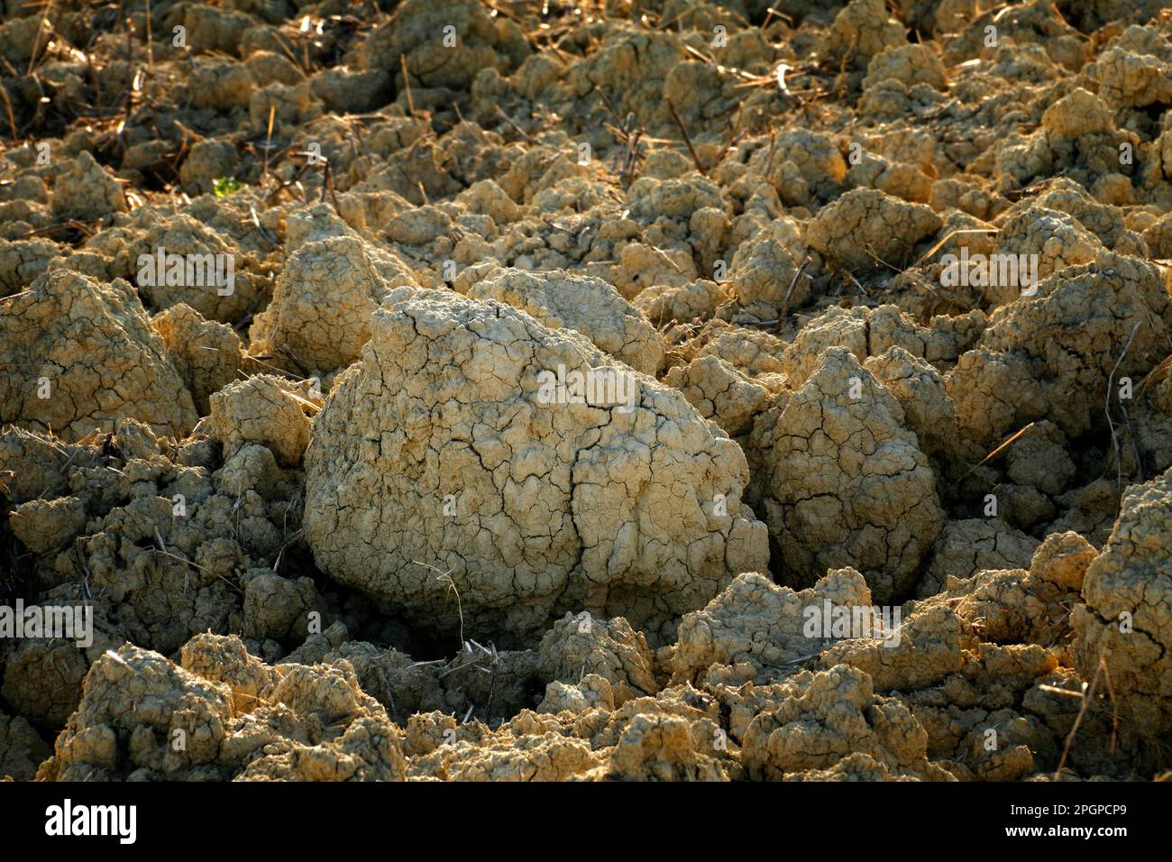 Selective focus close up of dry clods of earth on a ploughed field in ...