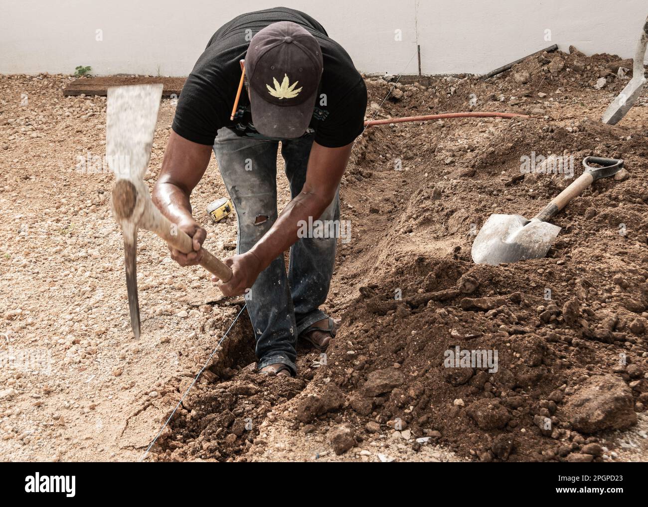 Man digging a hole in the ground with digging pick Stock Photo - Alamy