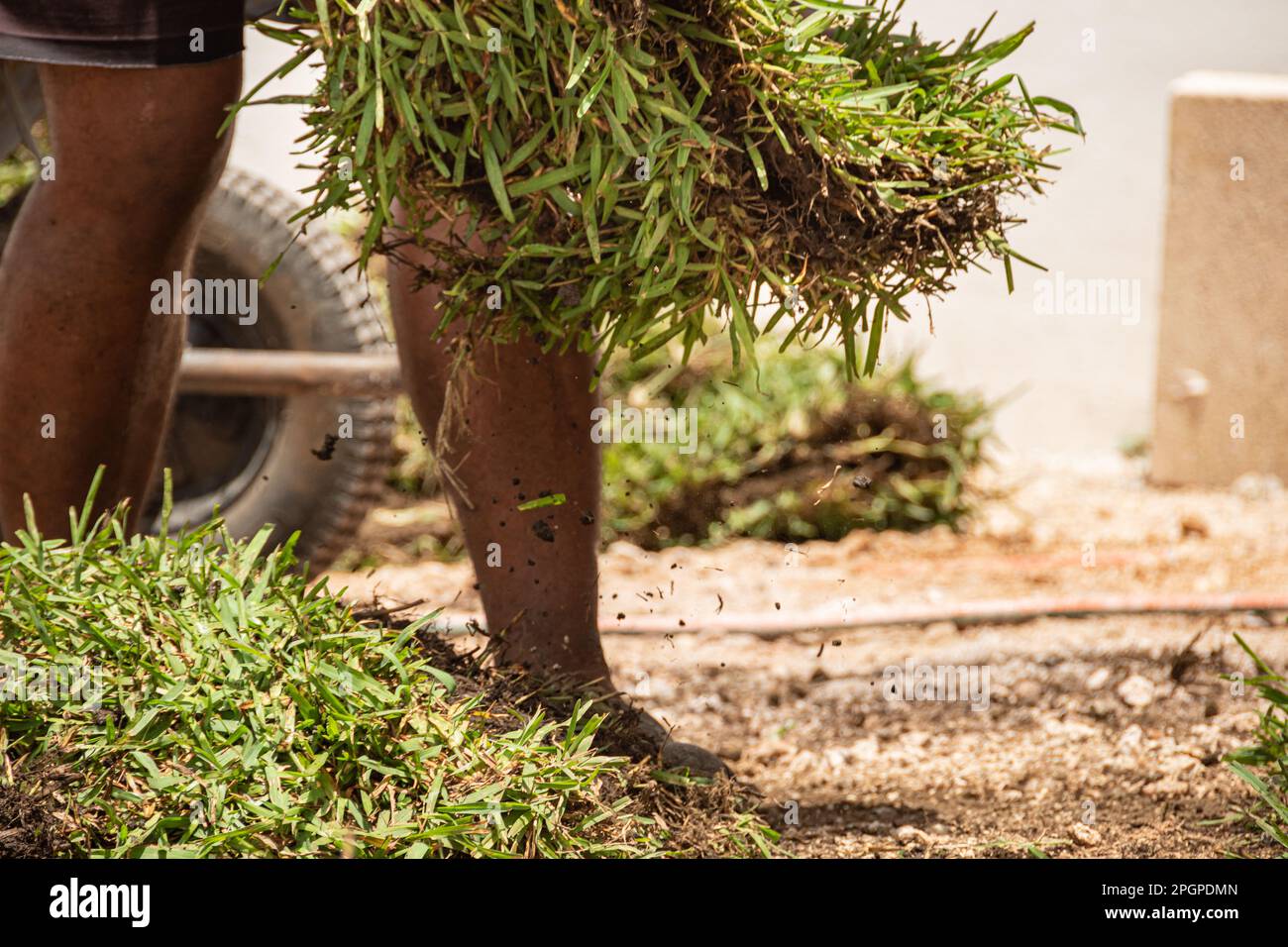 Seeded area hi-res stock photography and images - Alamy