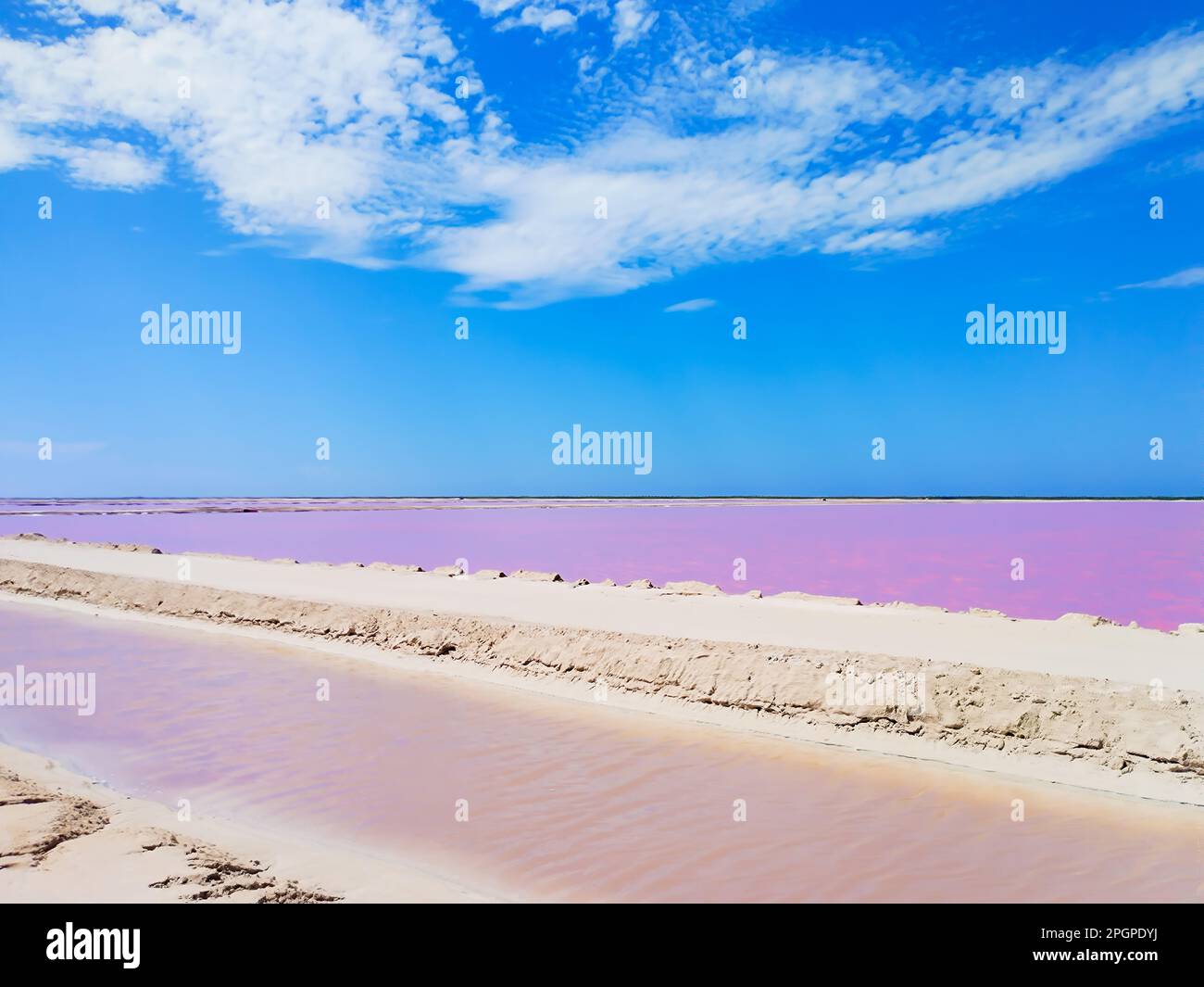 Salt pink lagoon in Las Coloradas, Yucatan, Mexico Stock Photo - Alamy