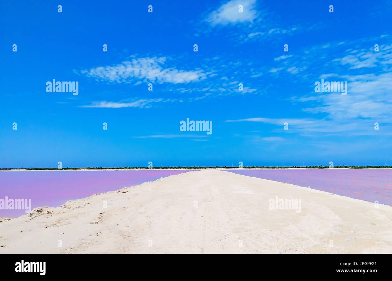 Pink lake salt bacteria hi-res stock photography and images - Alamy
