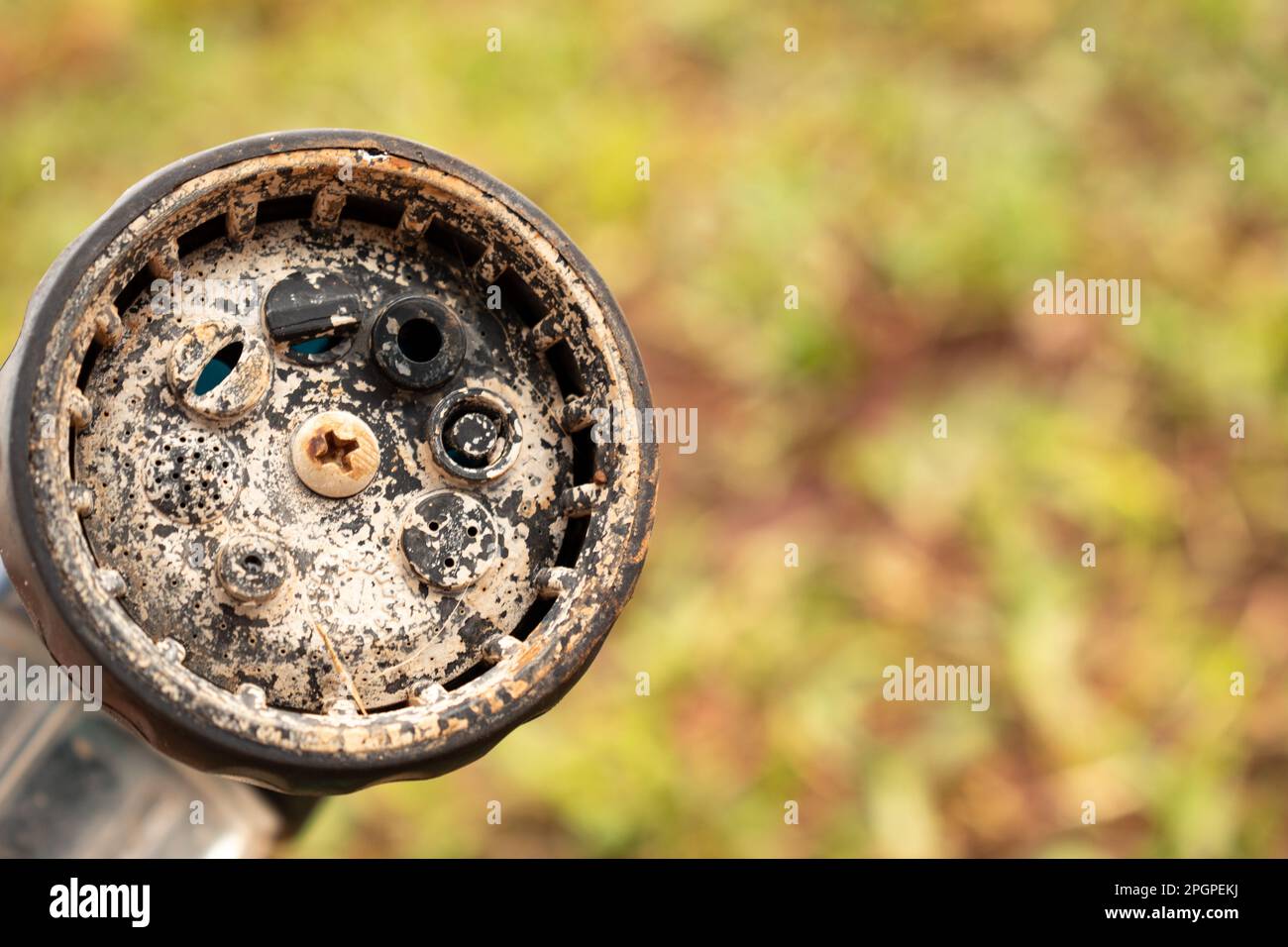 Dirty chrome shower head with limescale that should be cleaned ...