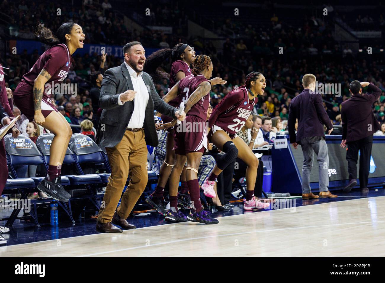 South Bend, Indiana, USA. 19th Mar, 2023. Mississippi State bench ...