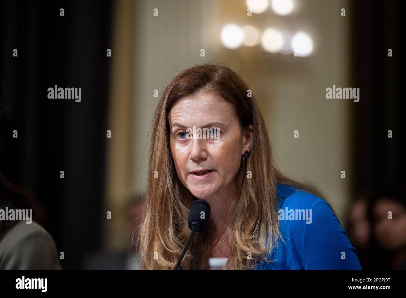 Washington, Vereinigte Staaten. 23rd Mar, 2023. Naomi Kikoler, Director ...