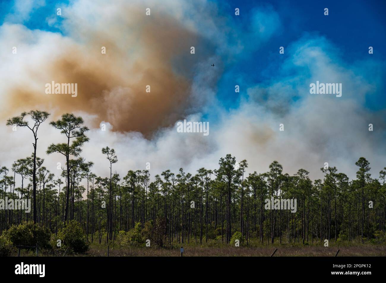 March 23, 2023, Jupiter, Florida, USA: 800-acre fire in the Hungryland ...