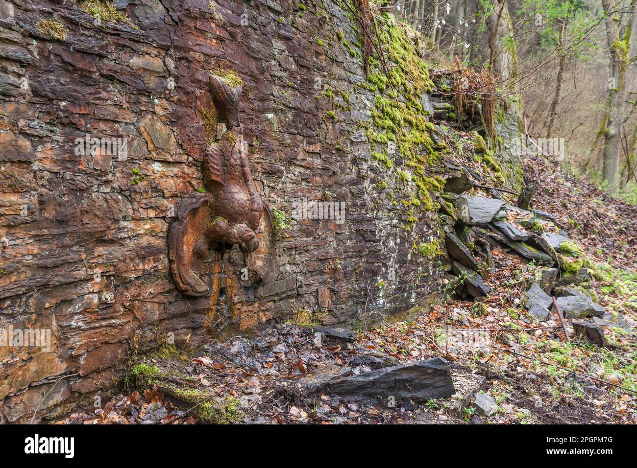 Spring natural water source hi-res stock photography and images - Alamy