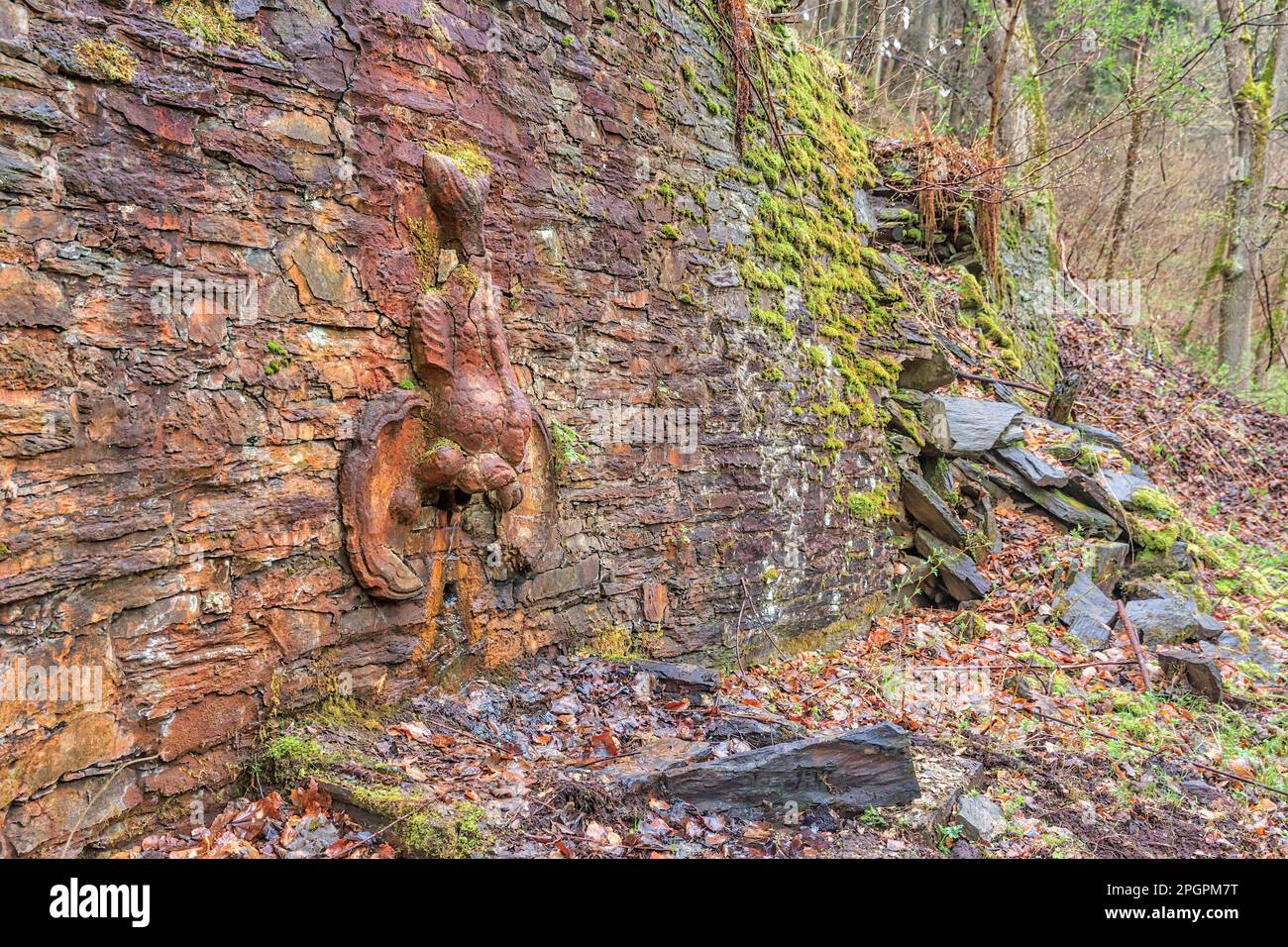 Spring natural water source hi-res stock photography and images - Alamy