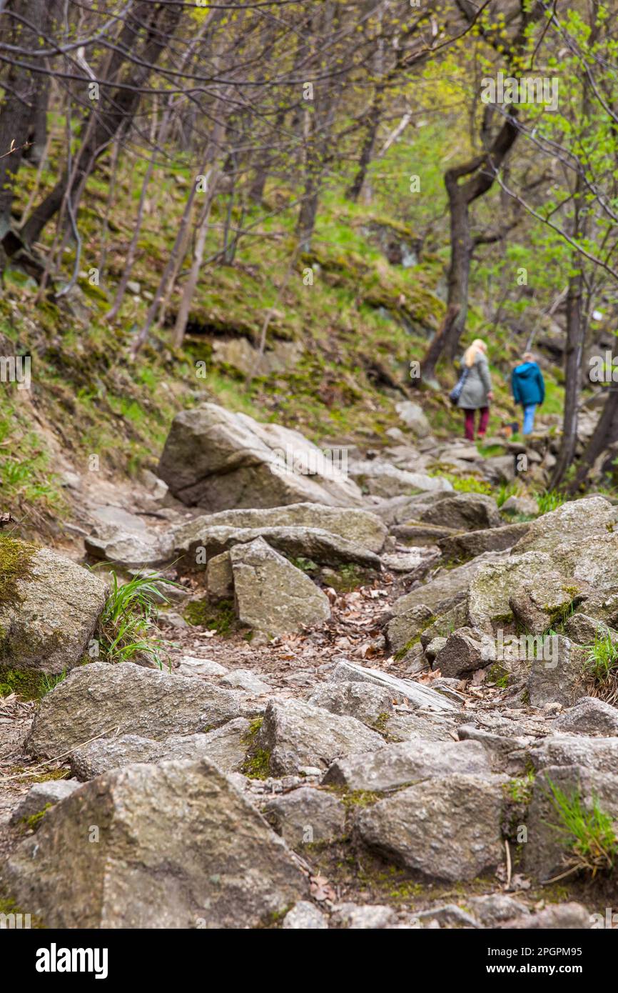 Over hill and dale Hiking trails in the Bode Valley Harz Stock Photo ...