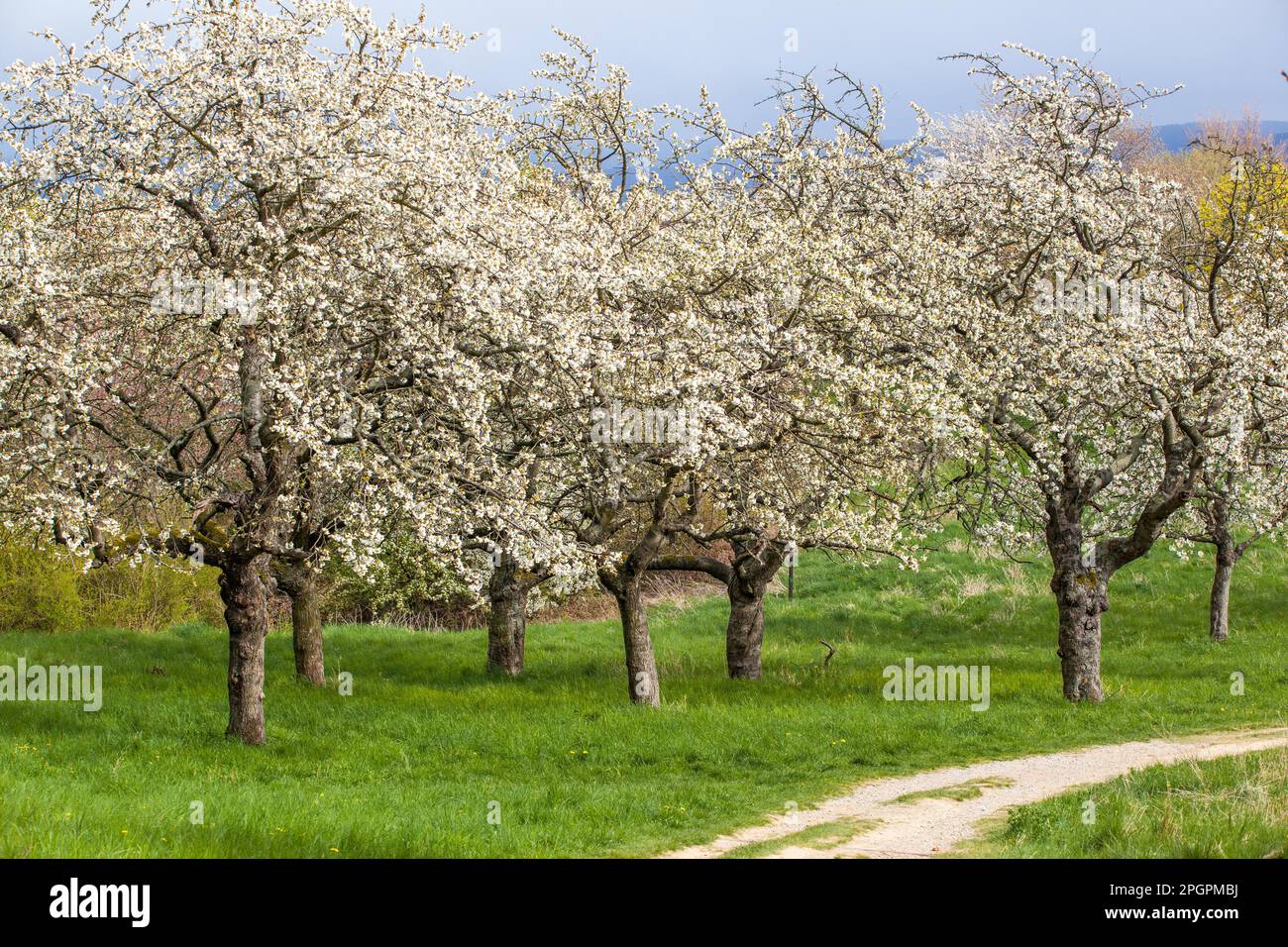 Orchard rock hi-res stock photography and images - Alamy