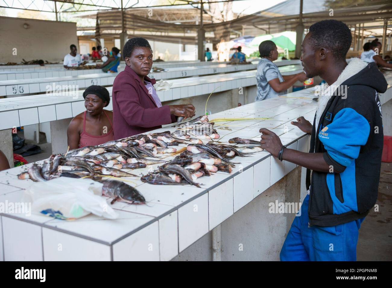 Fish market, Katima Mulilo, Caprivi, Namibia Stock Photo - Alamy