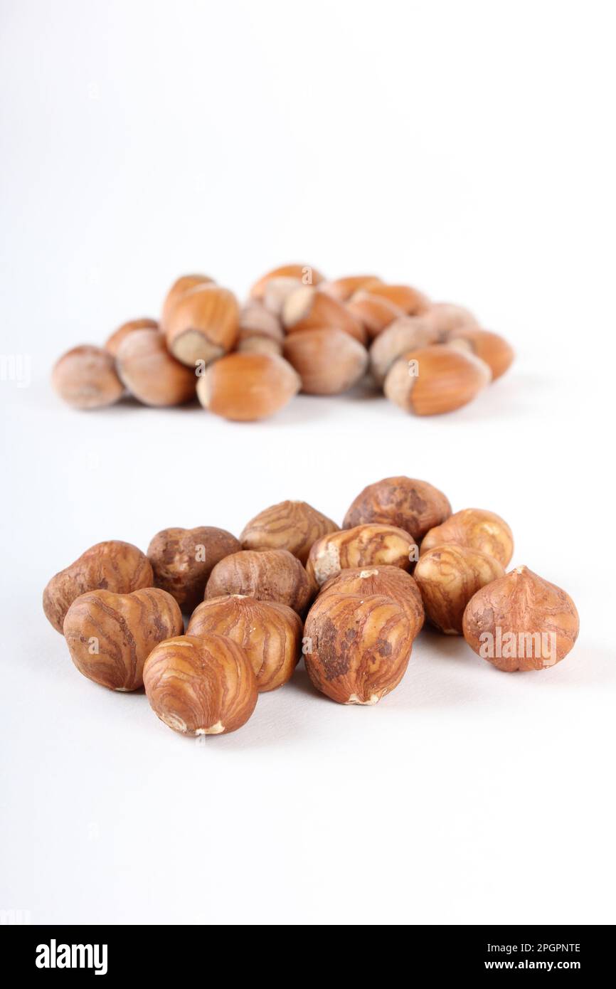 Hazelnuts, with shell and peeled Stock Photo - Alamy