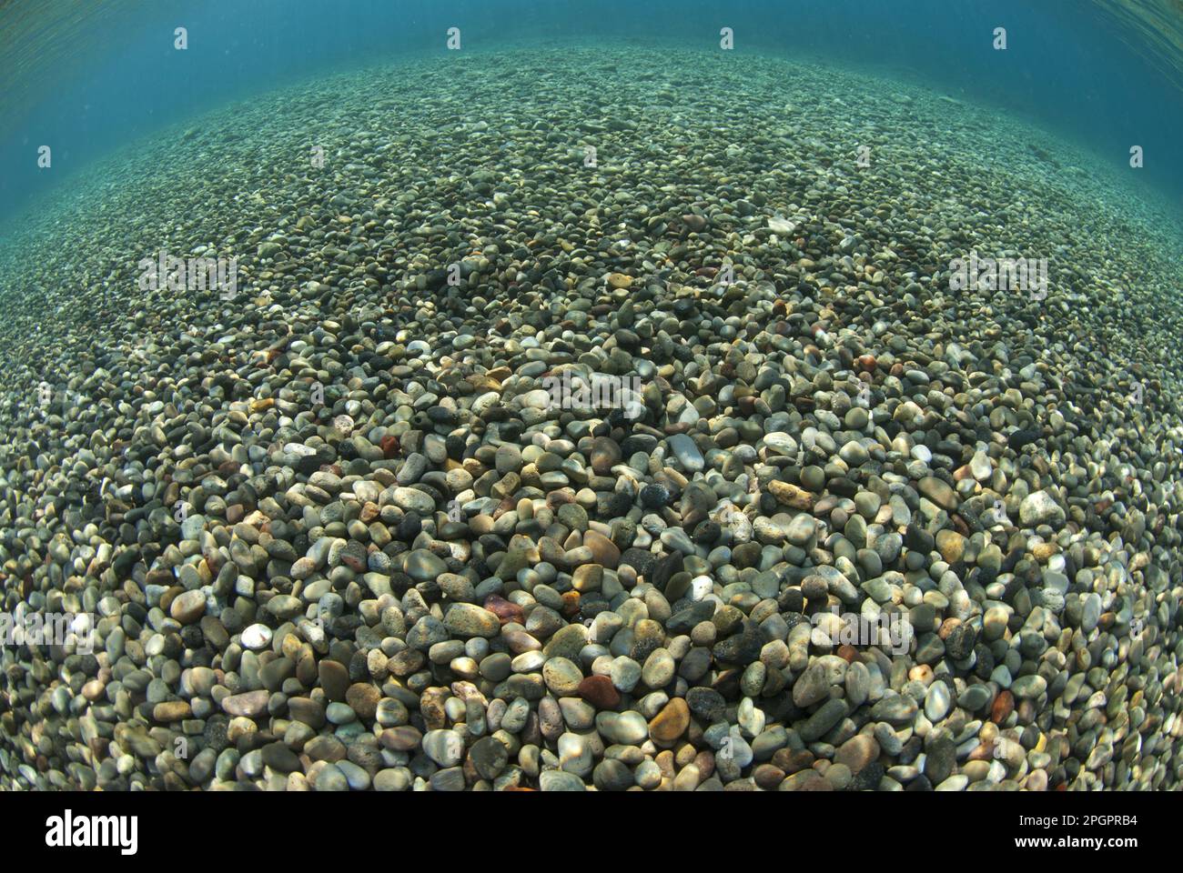 View of multicoloured pebbles near shallow shore, Tutuntute, Wetar ...