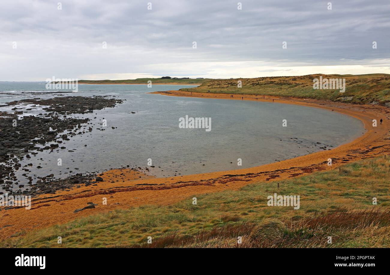 Waipapa coast hi-res stock photography and images - Alamy