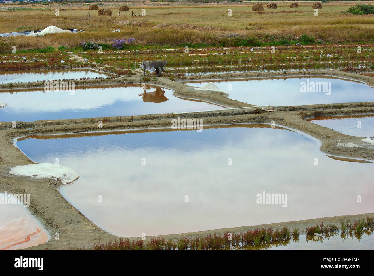 Salt production in Noirmoutier, sea salt Stock Photo - Alamy